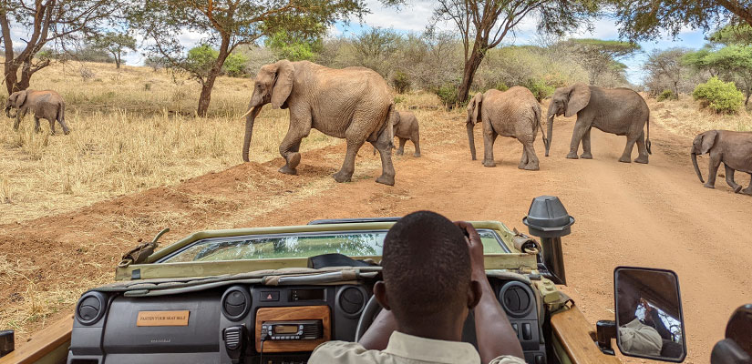 Serengeti National Park - Africa Adventure Consultants